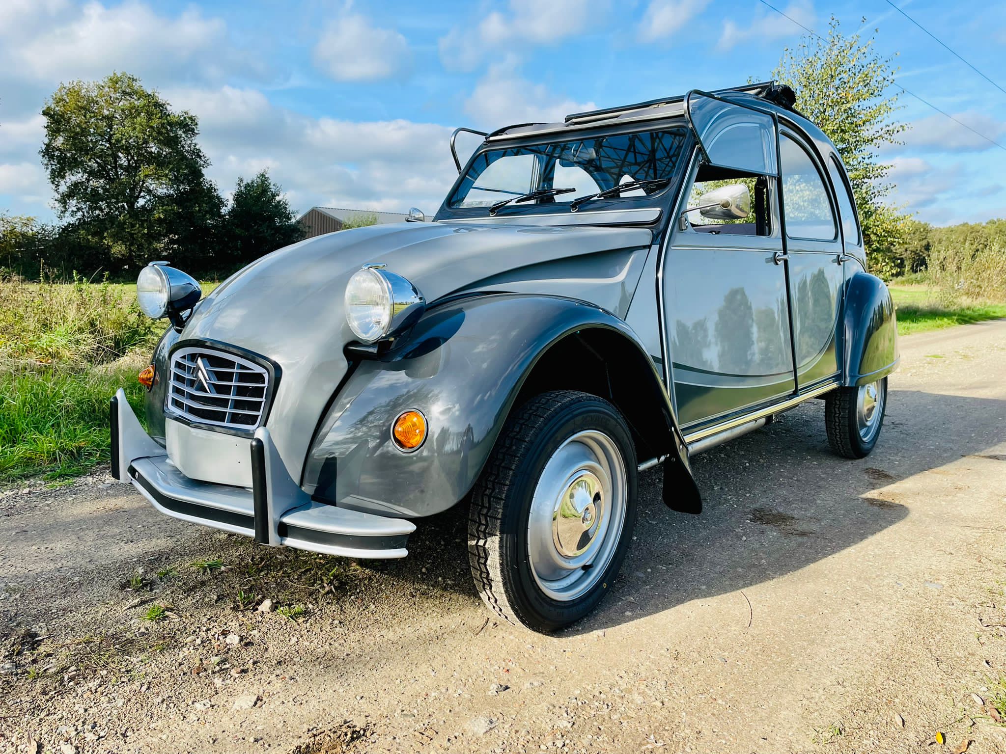 2cv6 Charleston Gris nocturne / Gris cormoran '86 - Ad v.d. Horst